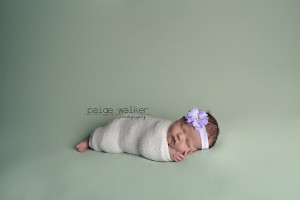 Paige Walker Photography: Stella {dallas fort worth newborn ...