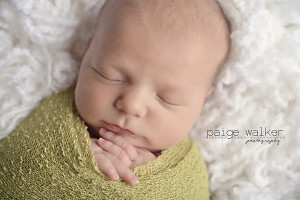 Paige Walker Photography: Lincoln {dallas fort worth newborn photographer} | Paige Walker ...